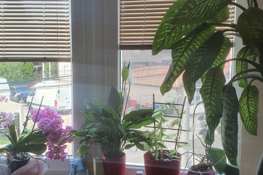 Nactive centar Kozmetički salon zakazivanje | Beograd, Ljiljane Krstić ...