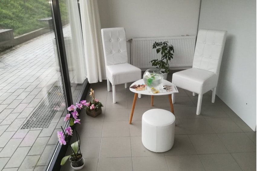 Zora Kozmetički salon zakazivanje | Beograd, Vojvode Micka Krstića 1d ...